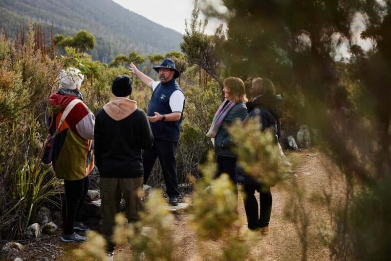 Mt Wellington Ultimate Afternoon Tour - Who Should Consider This Tour?