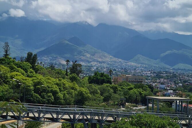 MTB Bike Tour: Enduro to Cerro del Fortín (Black Diamond trails) - What Reviews Say About the Experience
