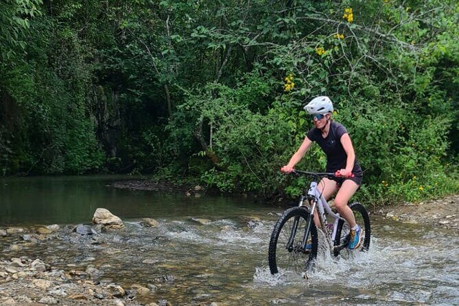 MTB Bike Tour: Monkey Tree + Tule Tree - What to Expect from the Experience