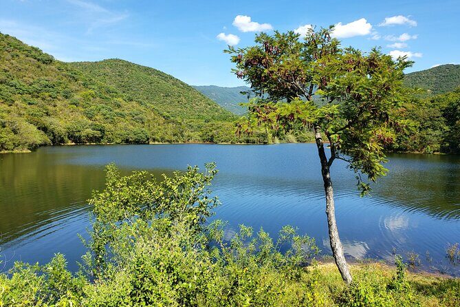 MTB Guided Ride, Tule Tree & Lake Half-Day - An In-Depth Look at the Itinerary