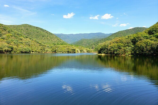 MTB Guided Ride, Tule Tree & Lake Half-Day - Why This Tour is a Great Choice