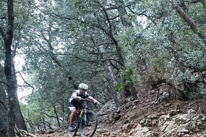 MTB guided tour in Bellver forest and Na Burguesa m.(E-MTB avai.) - Exploring Mallorca on Two Wheels: An Honest Review of the MTB Guided Tour in Bellver Forest & Na Burguesa