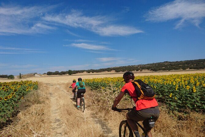 MTB (Self-Guided) Setenil de las Bodegas - 30km Easy - FAQs