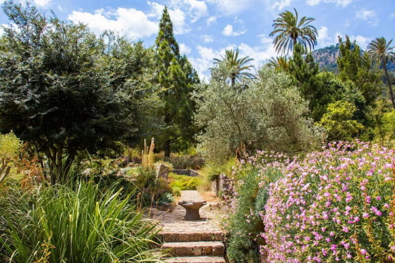 MUCBO | Sóller Botanical Garden - Balearic Museum of Natural Sciences - An Honest Look at the Experience