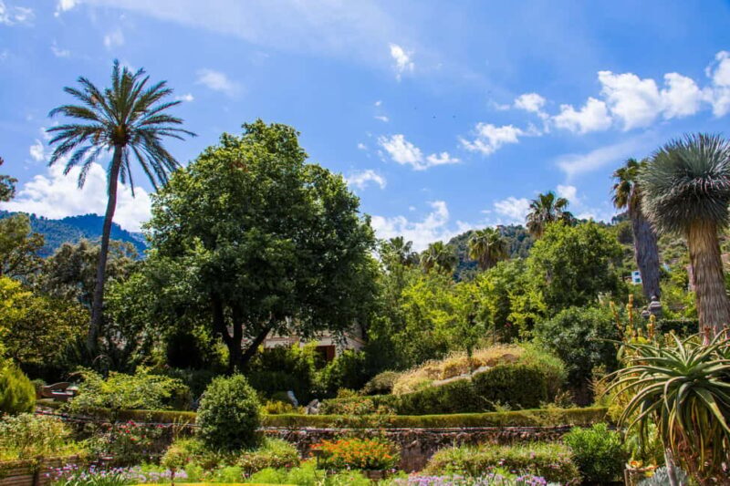 MUCBO | Sóller Botanical Garden - Balearic Museum of Natural Sciences - Final Thoughts