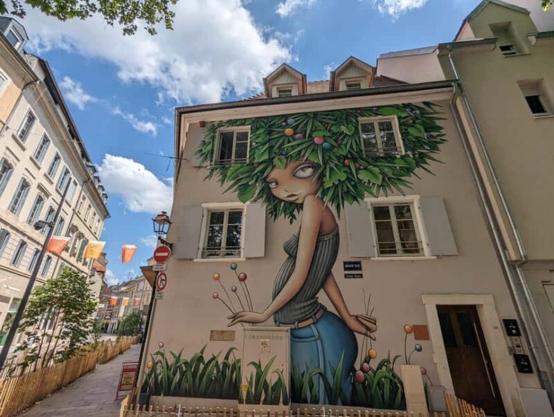 Mulhouse: Highlights Walking Tour with a local guide - FAQ