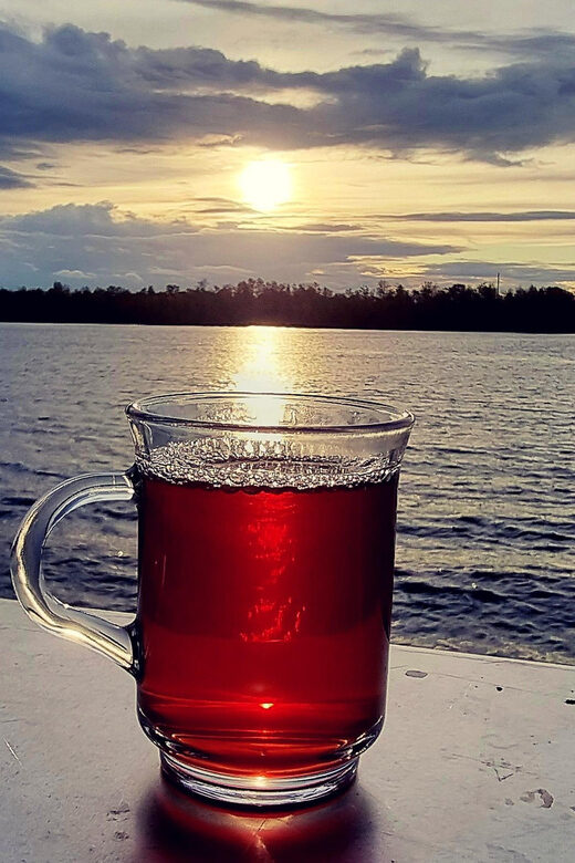 Mulled wine ride in the Leipzig New Zealand - What the Reviews Tell Us