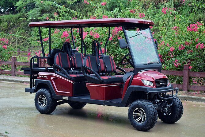 Multi Day 6 Passenger LSV Golf Cart Rental - A Practical Guide to the Multi Day 6 Passenger LSV Golf Cart Rental in Charleston