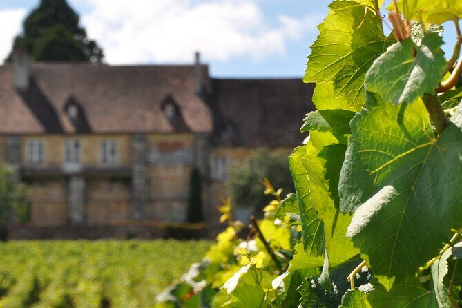 Multi Day Private Tour Prestige Burgundy with 12 Premiers & Grands Crus - Exploring Burgundy’s Legendary Vineyards