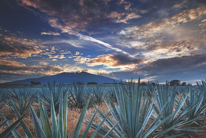 Multi Day Tequila Tour - Key Points
