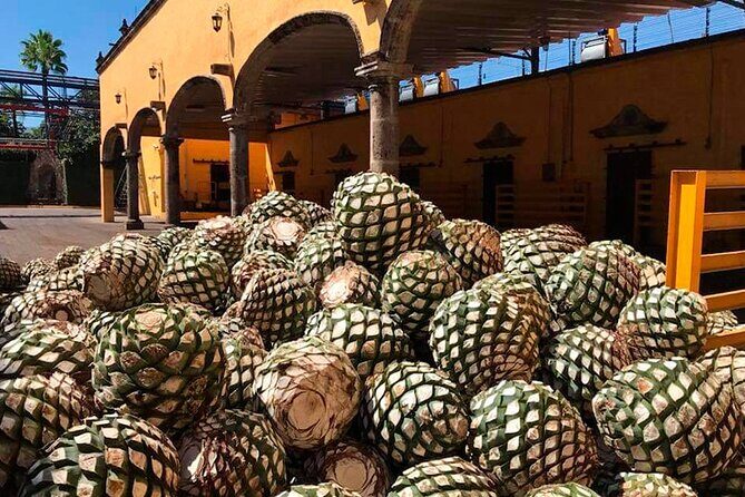 Multi Day Tequila Tour - The Sum Up