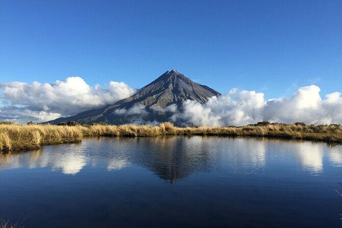 Multi Day Tour to New Plymouth and Taranaki Region from Hamilton - FAQ