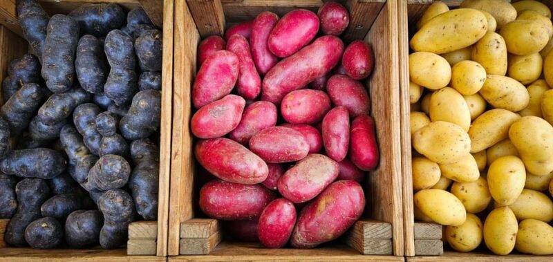 München: Vegetarische Viktualienmarkt-Probiertour Deutsch - The Sum Up