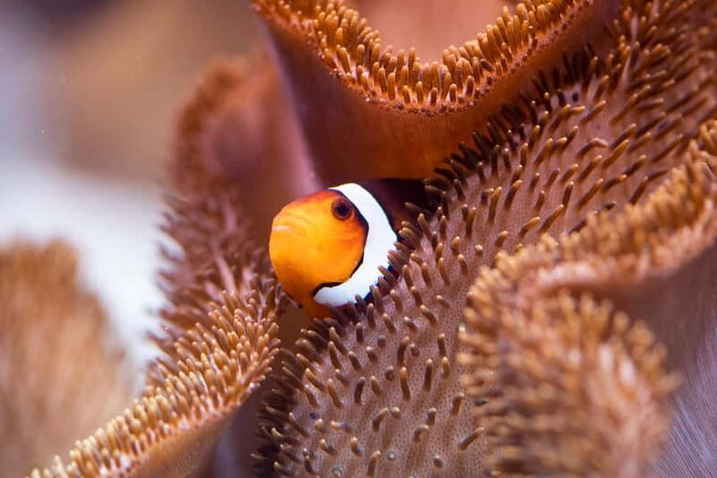 Munich: Day Ticket to Sea Life - An In-Depth Look at SEA LIFE Munich