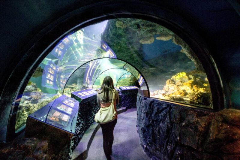 Munich: Day Ticket to Sea Life - Frequently Asked Questions