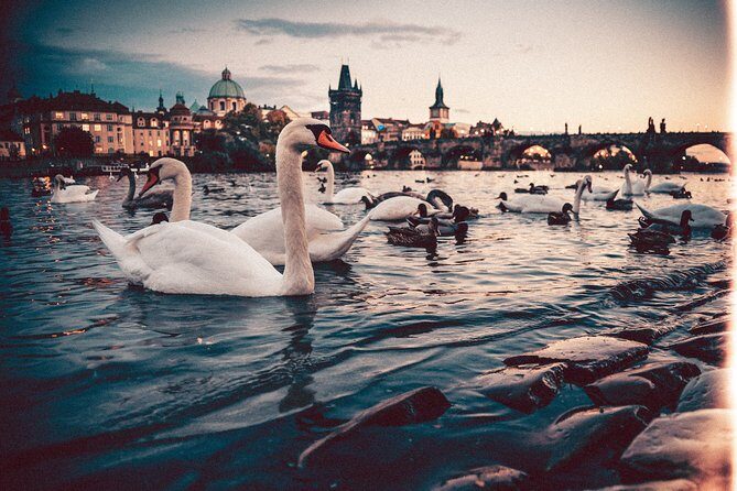 Munich to Prague - Private Transfer with 2 hours of Sightseeing - FAQ
