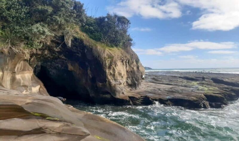 Muriwai Beach & Gannet Colony Private Tour - FAQ