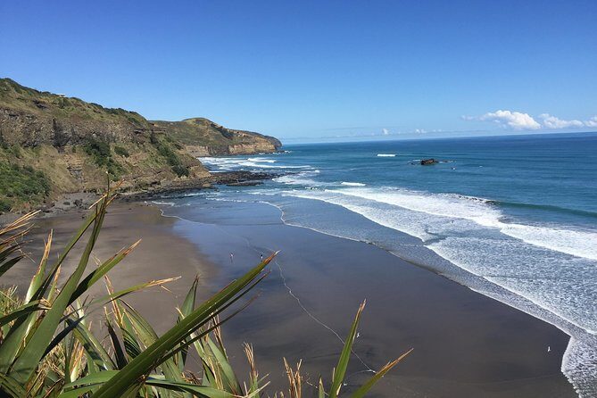 Muriwai Scenic Wine Tour from Auckland - Wildlife Encounters and Natural Wonders