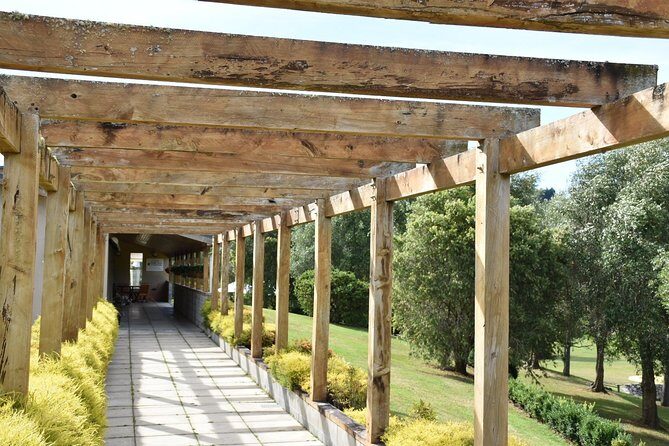 Muriwai Scenic Wine Tour from Auckland - Authentic Experiences and Reviews