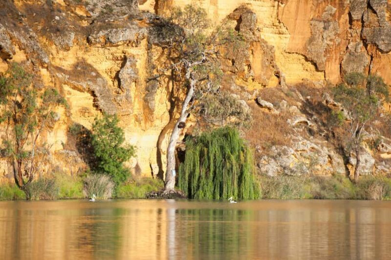 Murray River Highlights and Luncheon Cruise - Key Points