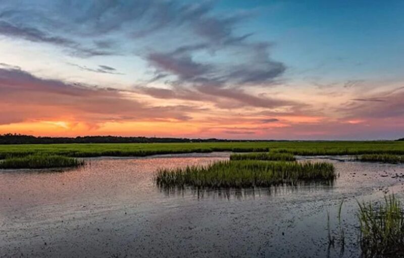 Murrells Inlet: Sunset Sealife Cruise - FAQ
