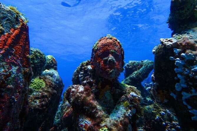 MUSA Museum and Colorful Reef 2 Tank Dive-Certified Divers - What to Expect from This Isla Mujeres Dive Tour