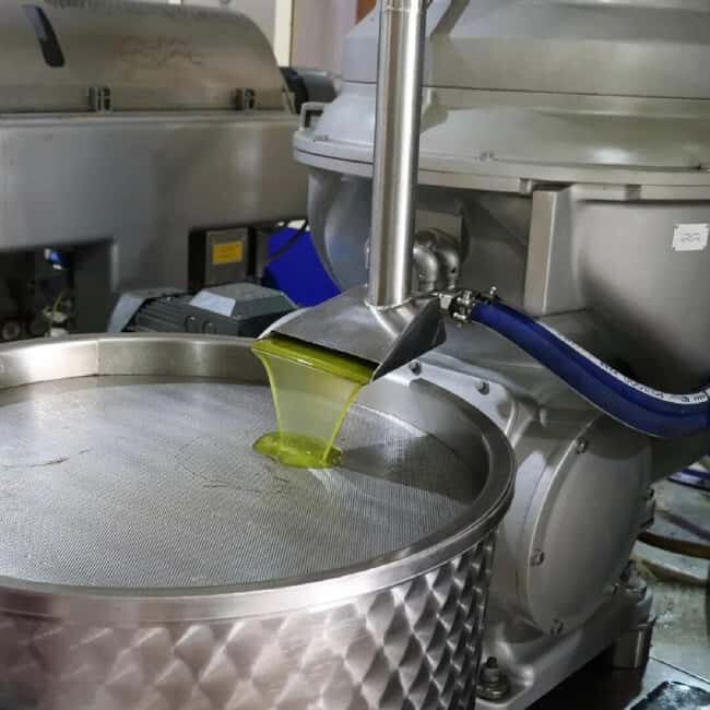 Musai Olive Oil Tour and Tasting - FAQ