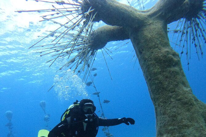 Musan Scuba Diving Private Adventure - An Overview of the Musan Scuba Diving Private Adventure