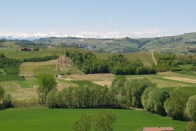 Museo delle Langhe Entrance Ticket - Key Points  