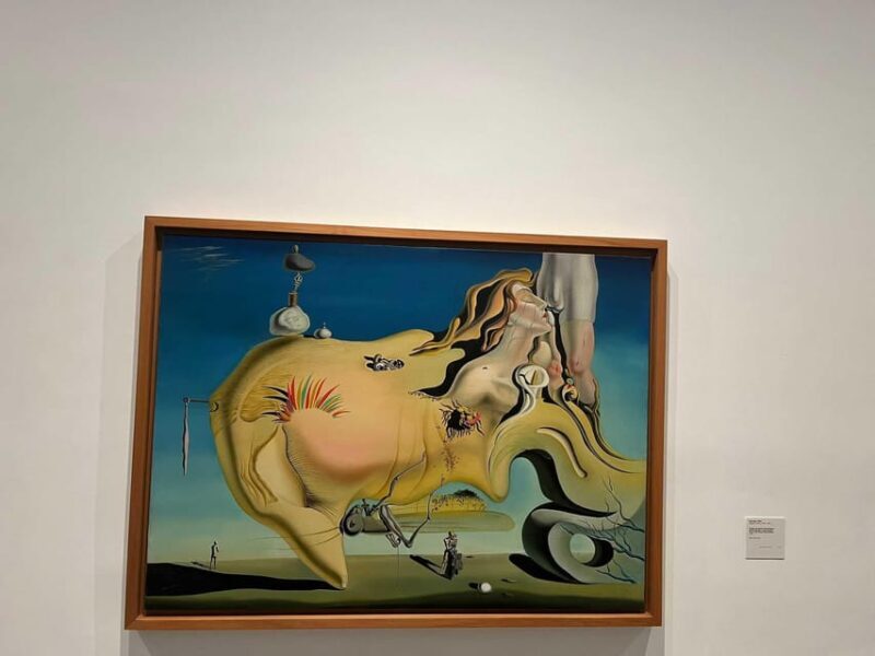 Museo Reina Sofía: Private visit with art expert - Why the Reina Sofia Museum?