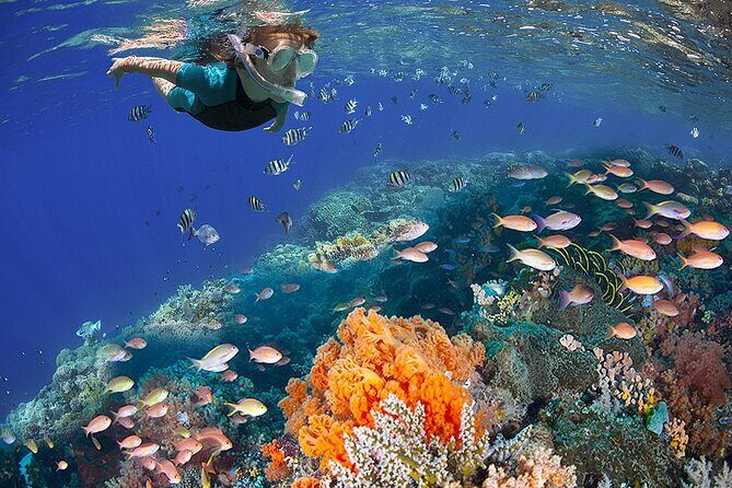 Museum for Coral Preservation with Chankanaab Park and OTOCH - Frequently Asked Questions