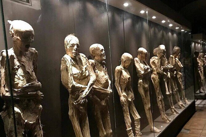 Museums and Mines of Guanajuato Private Tour - Key Points