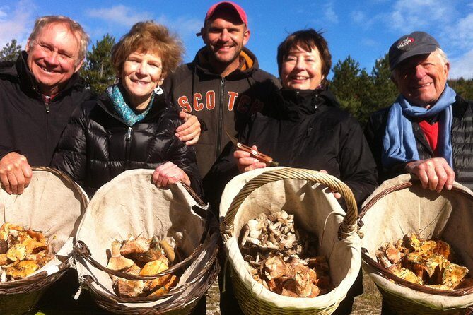 Mushroom hunting in Provence - Who Would Enjoy This Experience?