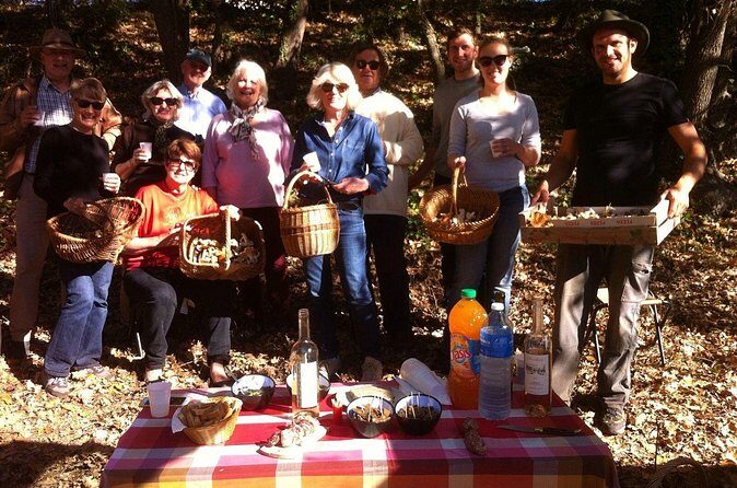 Mushroom hunting in Provence - FAQ