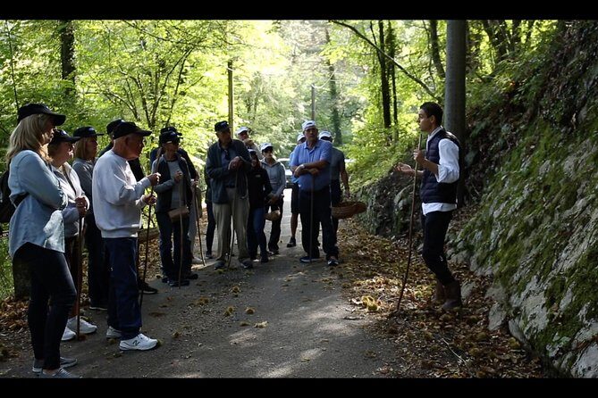 Mushroom or Truffle Hunting - What to Expect from the Tour