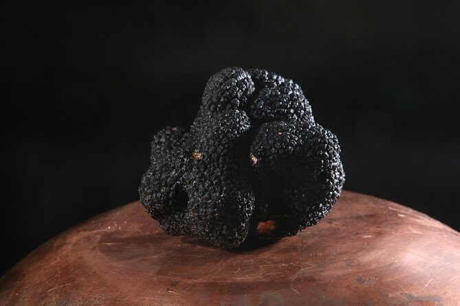 Mushroom or Truffle Hunting - FAQ