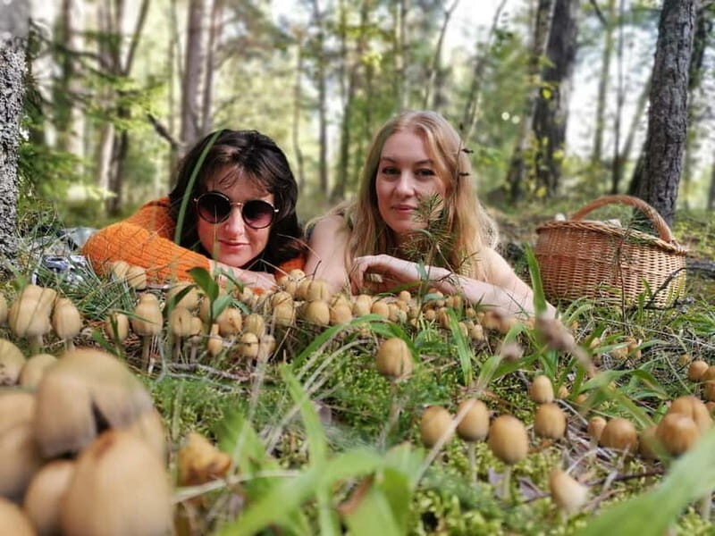 Mushroom picking in the forests near Riga - FAQ