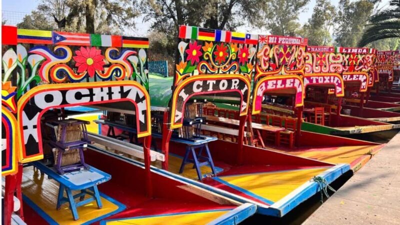 Music and Tequila in Xochimilco visits Coyoacán and CU - Key Points