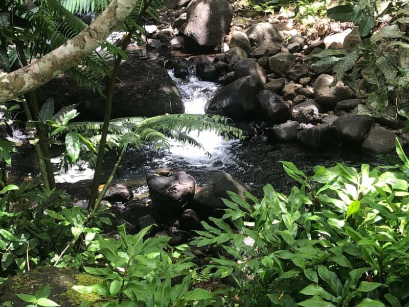 Must-Do : Nature, Culture & Moments Uniques  MirimirI Tours - Key Points