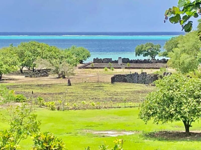 Must-Do : Nature, Culture & Moments Uniques  MirimirI Tours - Discovering the Heart of Raiatea: What to Expect