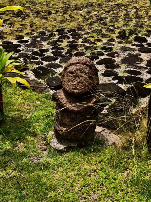 Must-Do : Nature, Culture & Moments Uniques  MirimirI Tours - Who Will Love This Tour?