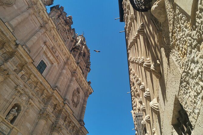 Must see Salamanca Walking Tour (could be billingual) - What to Expect from the Salamanca Walking Tour