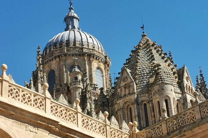 Must see Salamanca Walking Tour (could be billingual) - Frequently Asked Questions (FAQs)