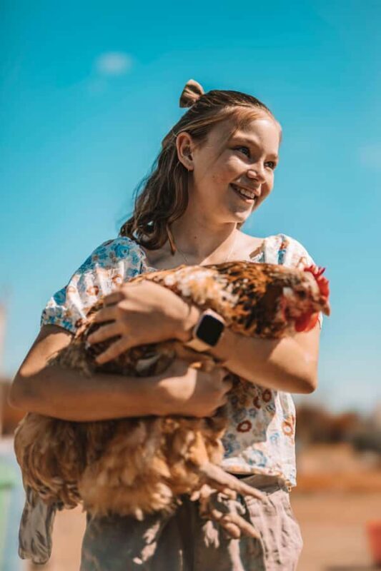 Mutchilba: Farm Animal Feeding - Authentic Reviews: What Visitors Have Said