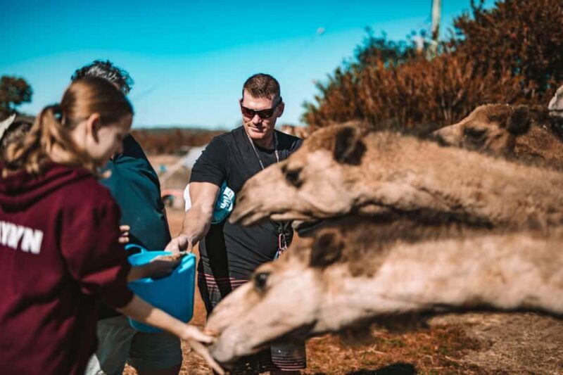 Mutchilba: Farm Animal Feeding - FAQ