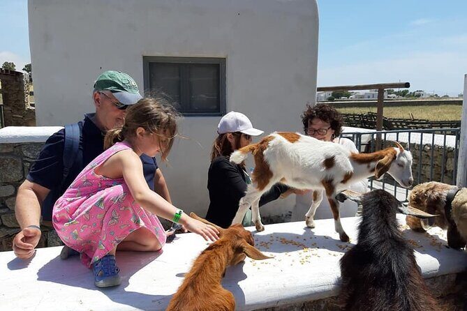 Mykonian Farm Experience - The Sum Up