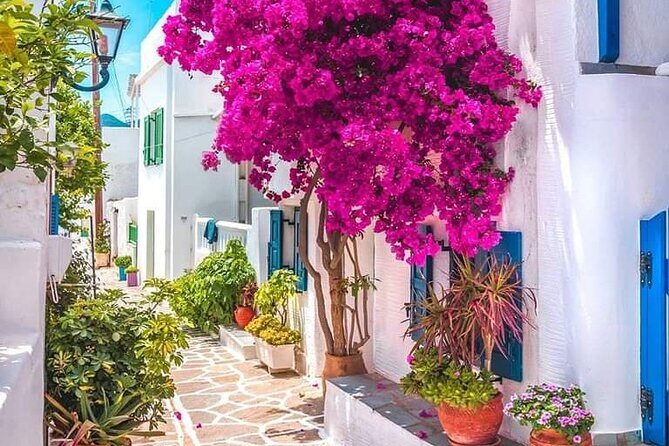 Mykonian Mosaic: First-Time Cruiser's Adventure - Who Will Love This Tour?