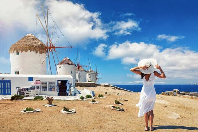 Mykonos Cruise-Friendly Tour from Cruise Port - Price and Value