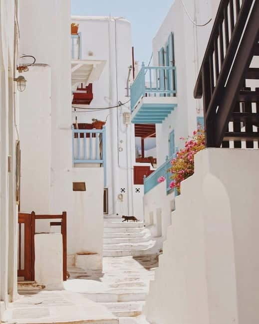 Mykonos Cruise Passenger Exclusive Jeep Tour: Must See in 4h - An In-Depth Look at the Mykonos Jeep Tour