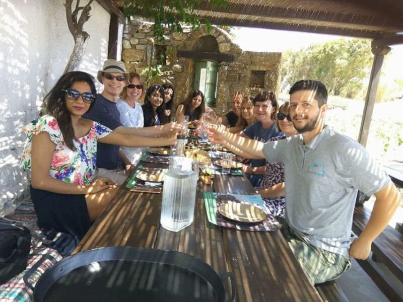 Mykonos: Farm, Ano Mera Village, and Beaches Guided Tour - Key Points